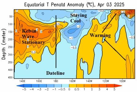 Most Likely: Neutral ENSO 2025; El Nino 2026 - Climate Impact Company