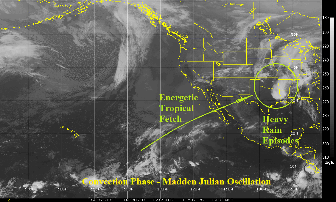 MJO Inspires Wet Pattern Centered on Texas - Climate Impact Company