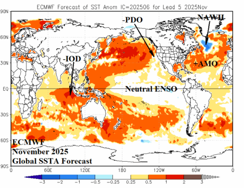 Latest ENSO, PDO, AMO, and IOD Outlooks - Climate Impact Company