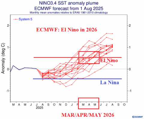 ECMWF Projects El Nino for 2026 - Climate Impact Company