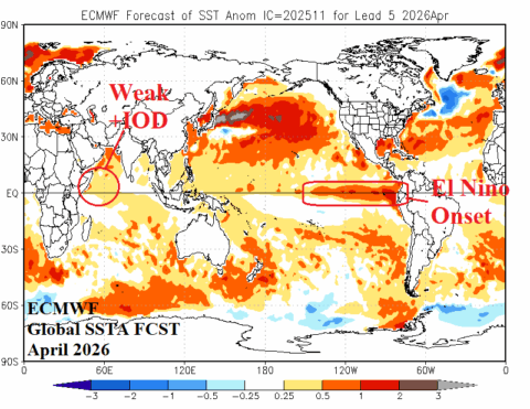 La Nina Shifts To Neutral Phase Early 2026 El Nino In 2026 Is Likely